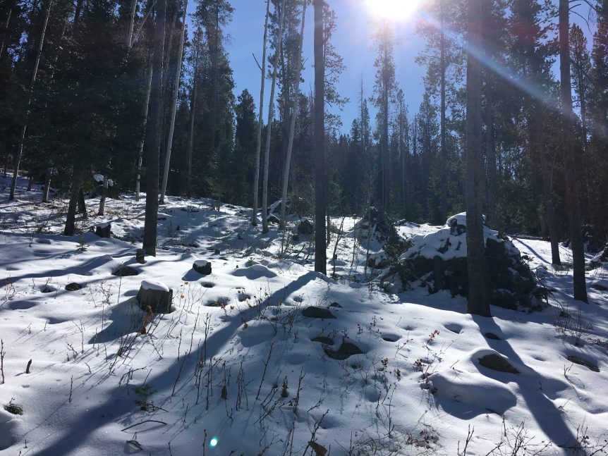 Utah Shared Stewardship partners announce FY23 projects | Utah DNR ...